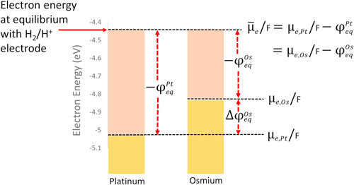 Editors’ Choice—The Butler-Volmer Equation Revisited: Effect of Metal ...