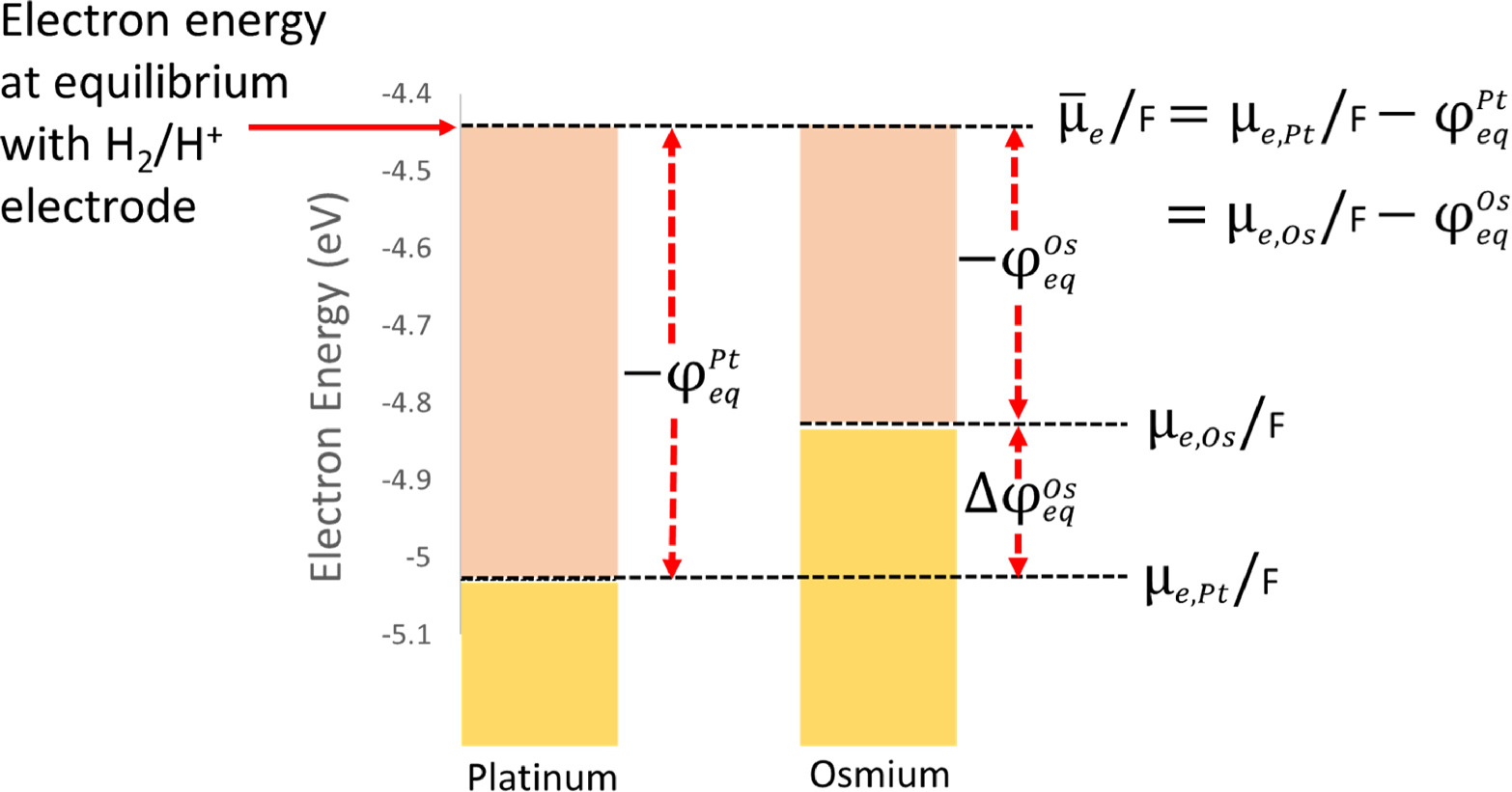Editors’ Choice—The Butler-Volmer Equation Revisited: Effect of Metal ...