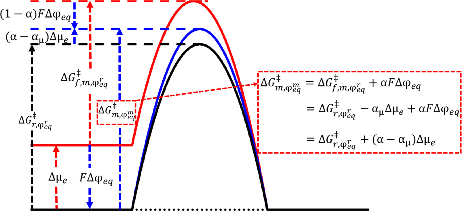 Editors’ Choice—The Butler-Volmer Equation Revisited: Effect of Metal ...