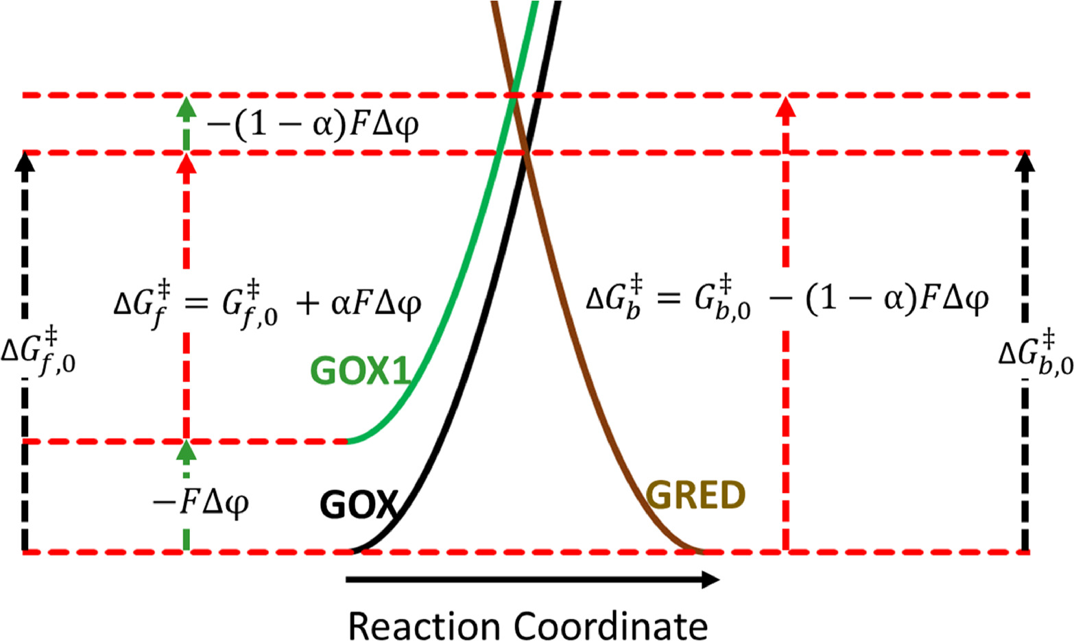 Editors’ Choice—The Butler-Volmer Equation Revisited: Effect of Metal ...