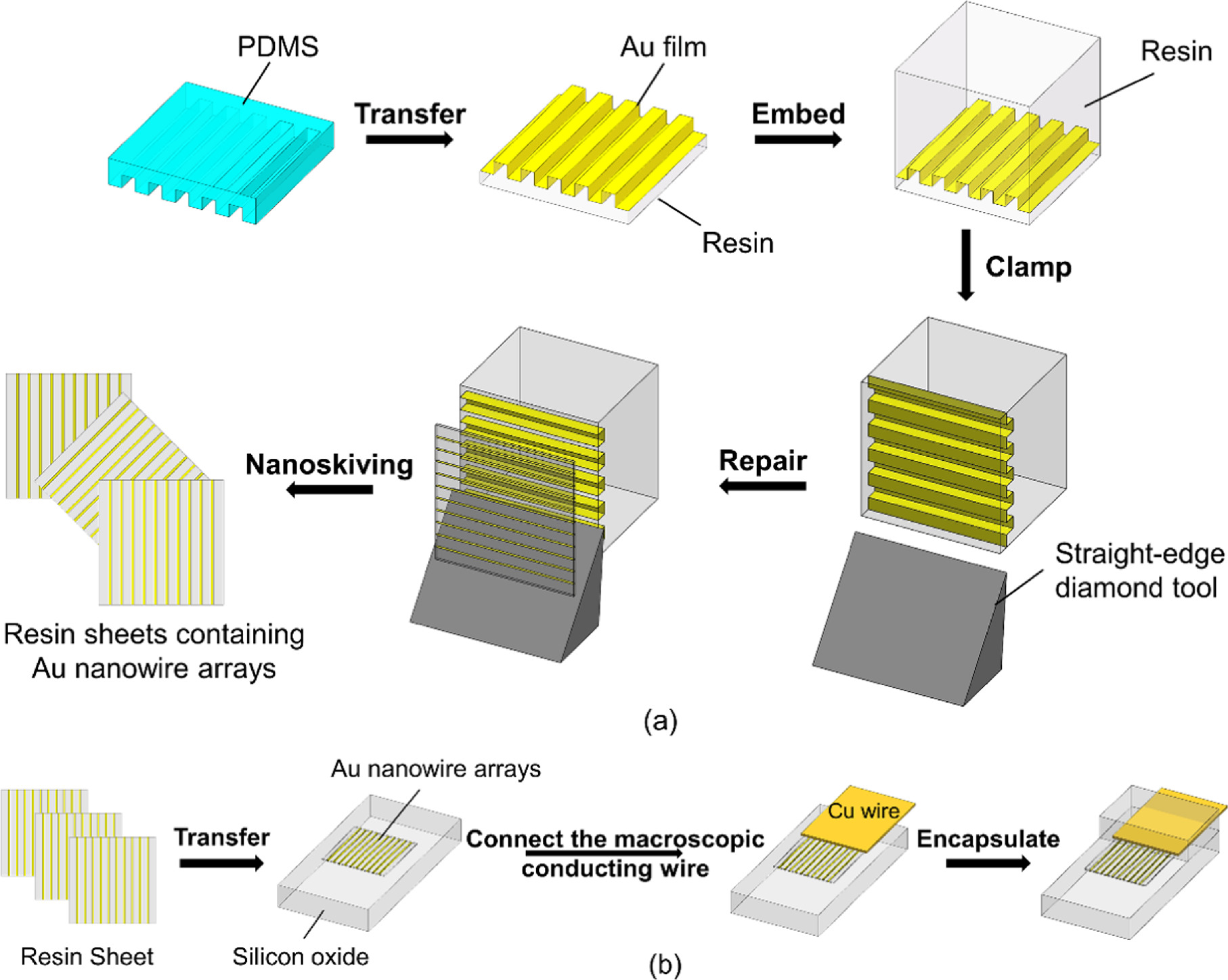 Fabrication and Electrochemical Characterizations of Strip ...