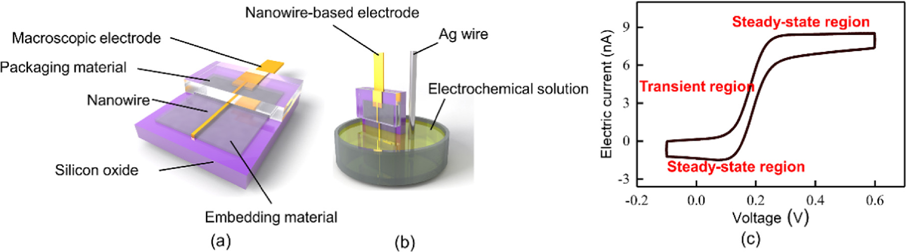 Fabrication and Electrochemical Characterizations of Strip ...