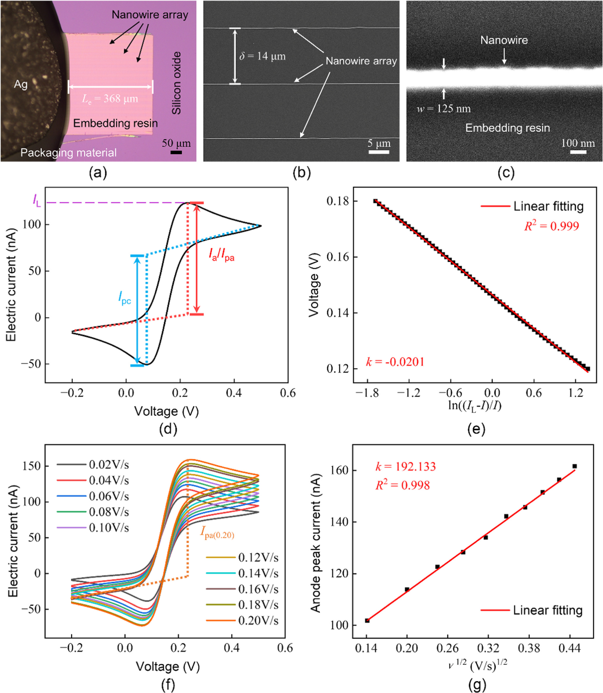 Fabrication and Electrochemical Characterizations of Strip ...