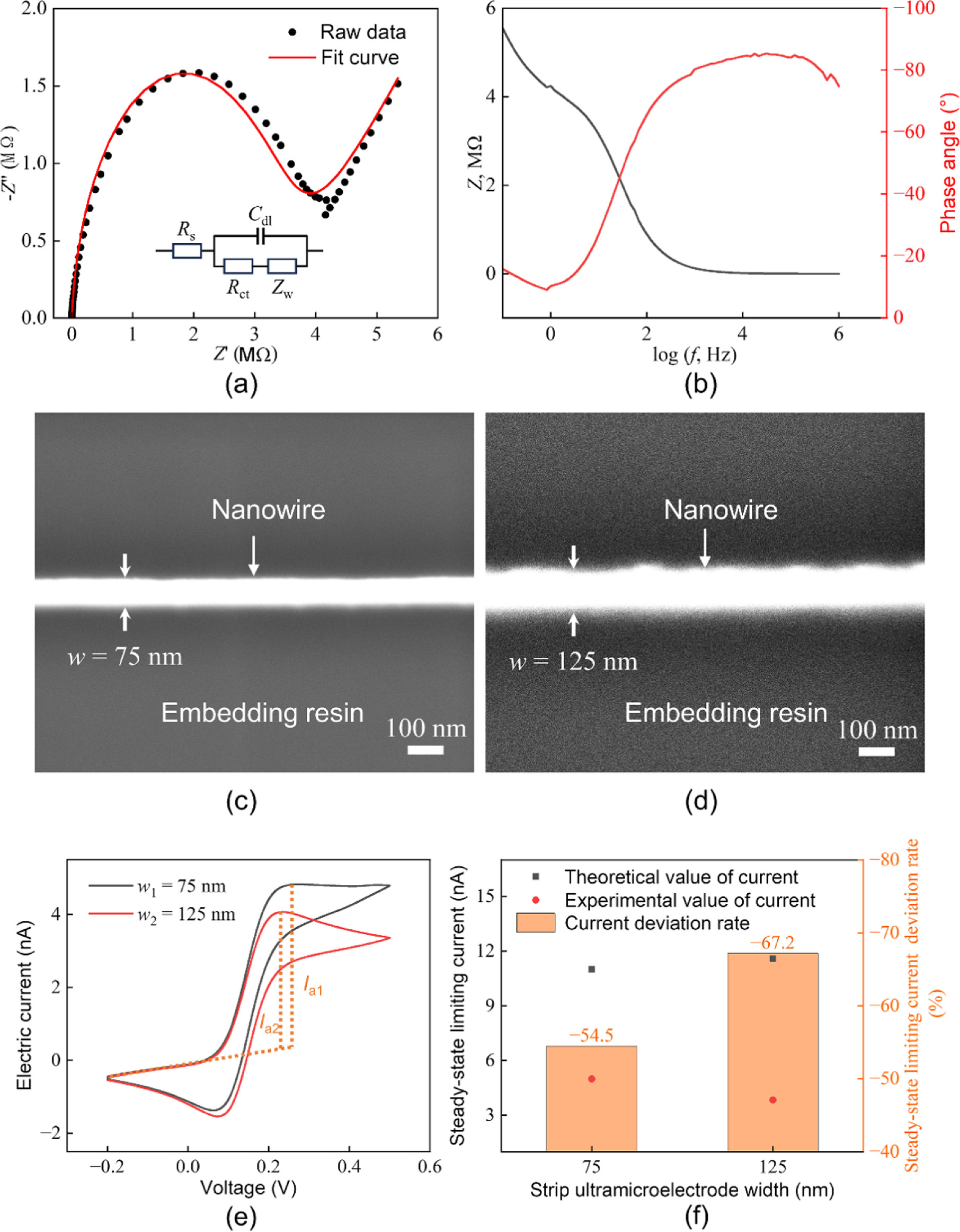 Fabrication and Electrochemical Characterizations of Strip ...
