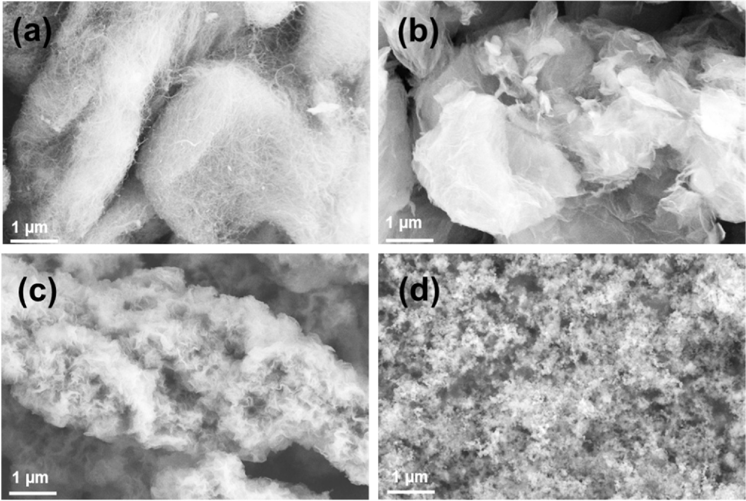 Effect of Carbon Morphology and Slurry Formulation in Sulfur Cathode ...