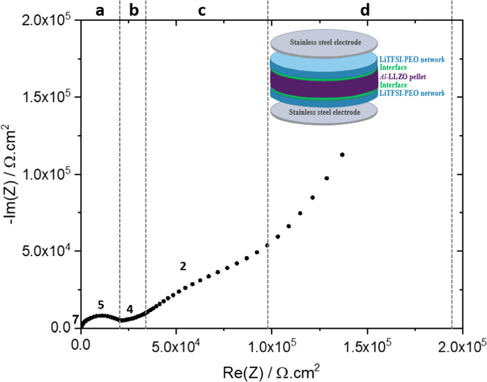 Characterization of Li+ Transport through the Organic-Inorganic ...