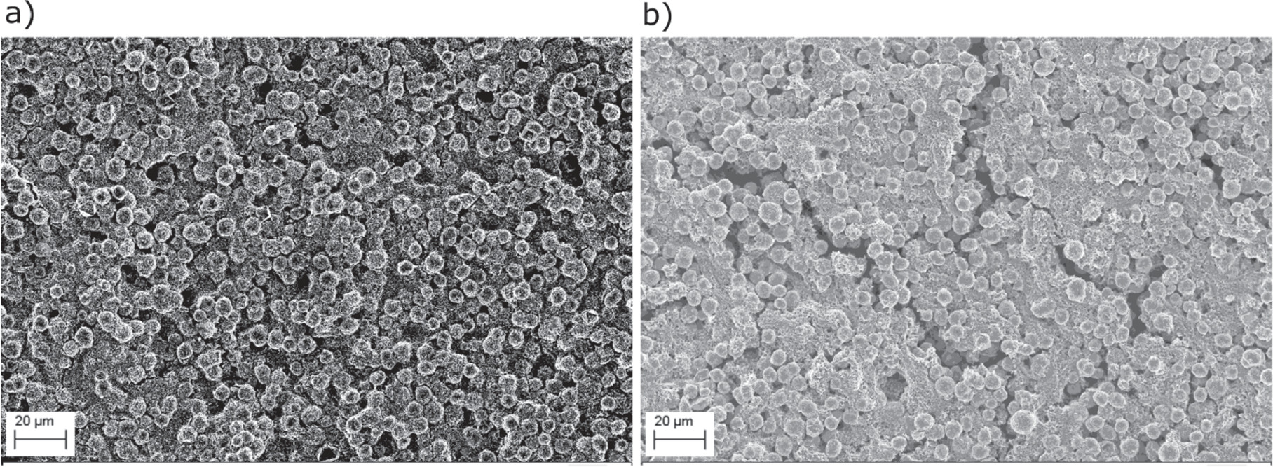 Limitations of Polyacrylic Acid Binders When Employed in Thick LNMO Li ...