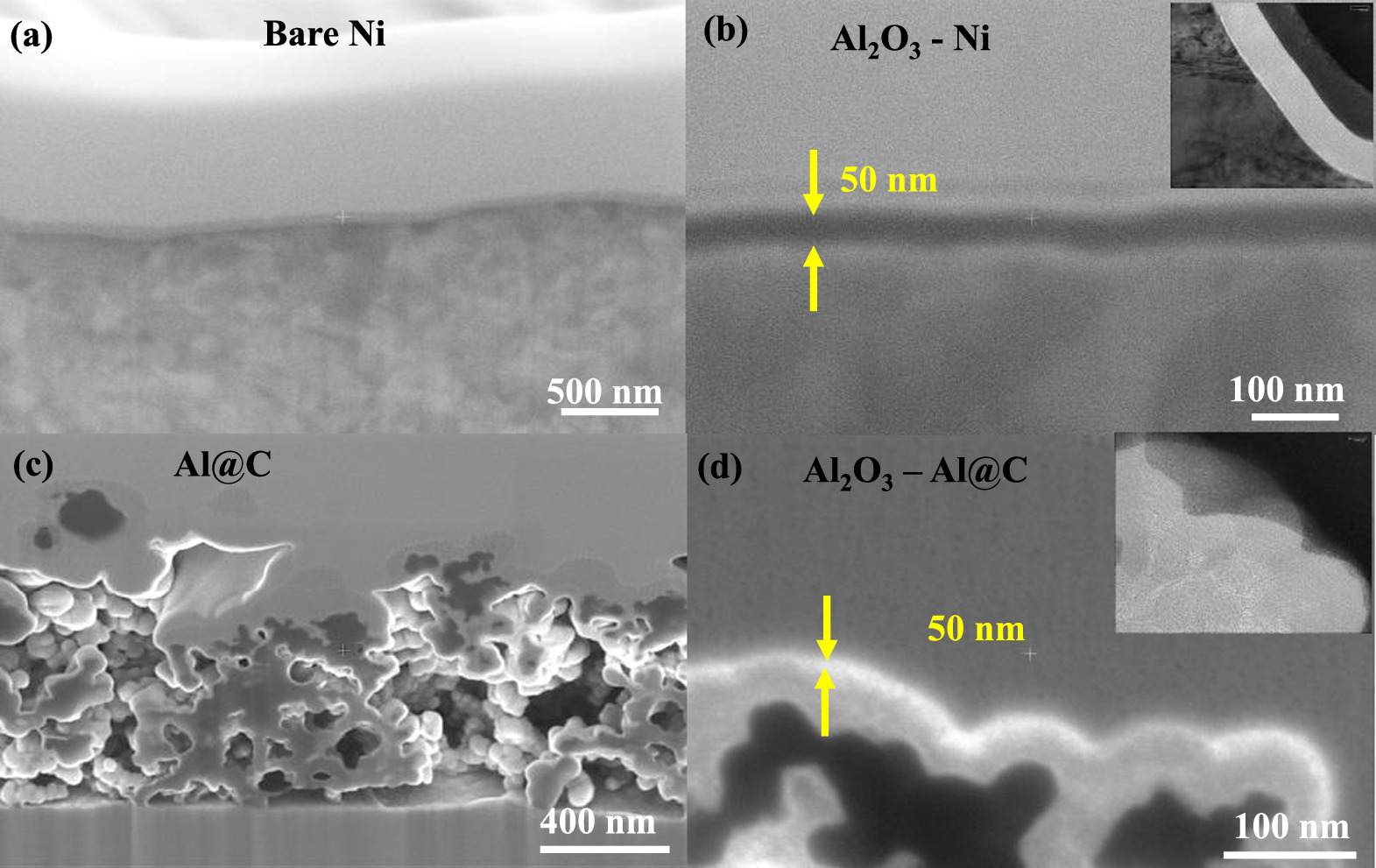 Protective Al2O3 Thin Film Coating by ALD to Enhance the Anodic ...