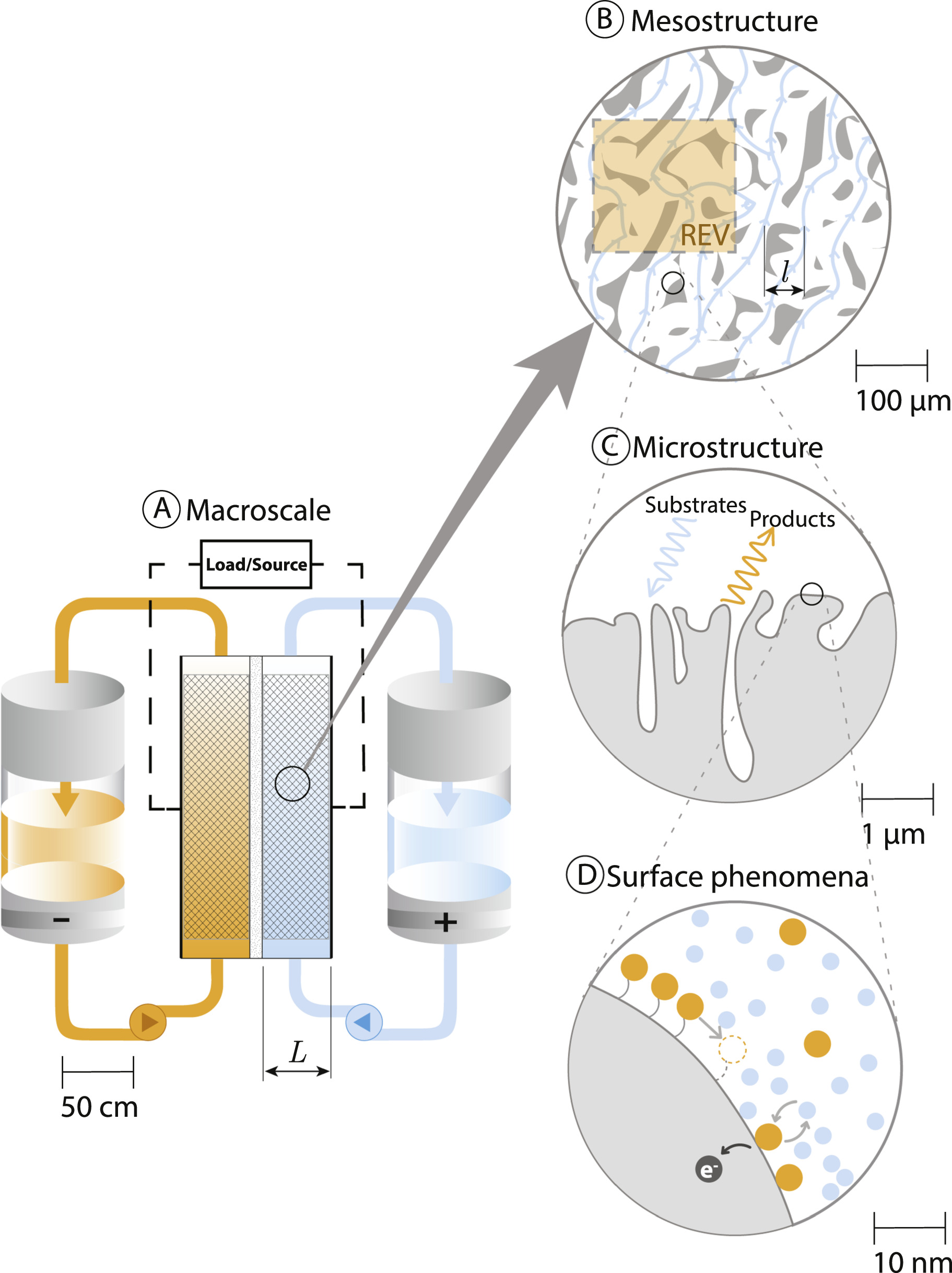 Upscaling of Reactive Mass Transport through Porous Electrodes in ...