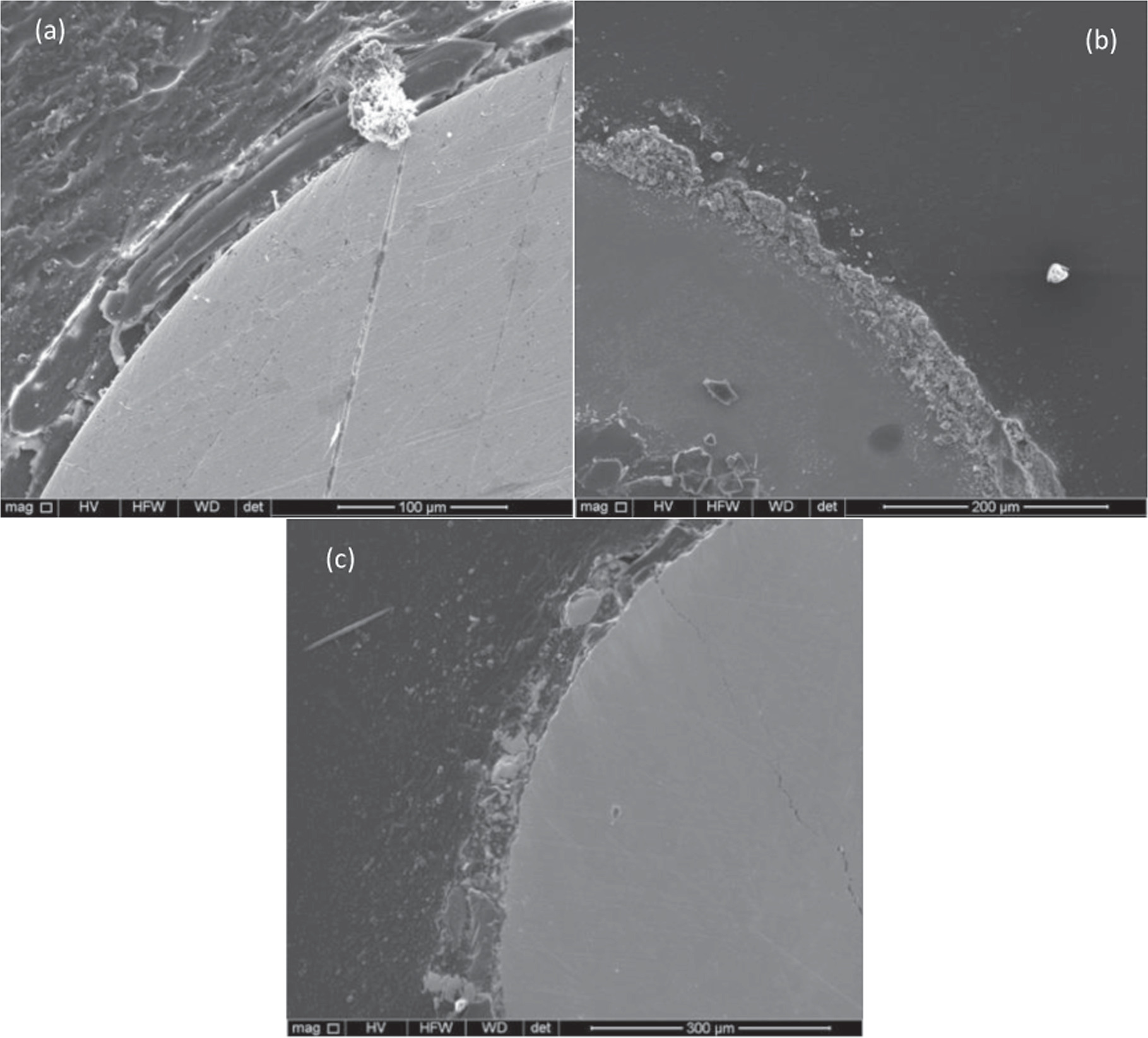 Electrochemical Analysis of Metal Stability in Candidate Reference ...