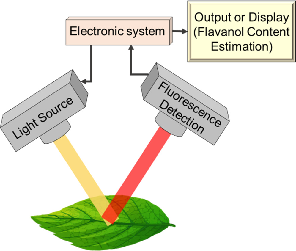 Review—Perspectives on the Roles of Real time Nitrogen Sensing and IoT ...