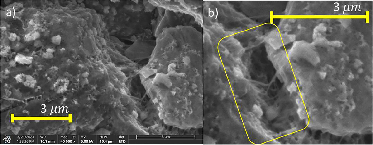 Investigation of The Failure Mechanisms of Li-Ion Pouch Cells with Si ...