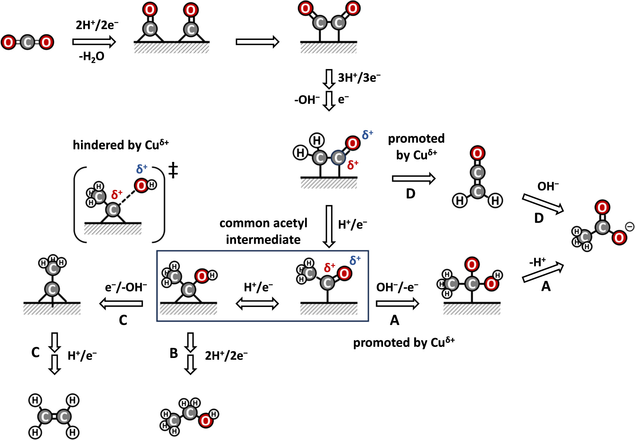 Electrochemical Reduction of CO2: A Common Acetyl Path to Ethylene ...