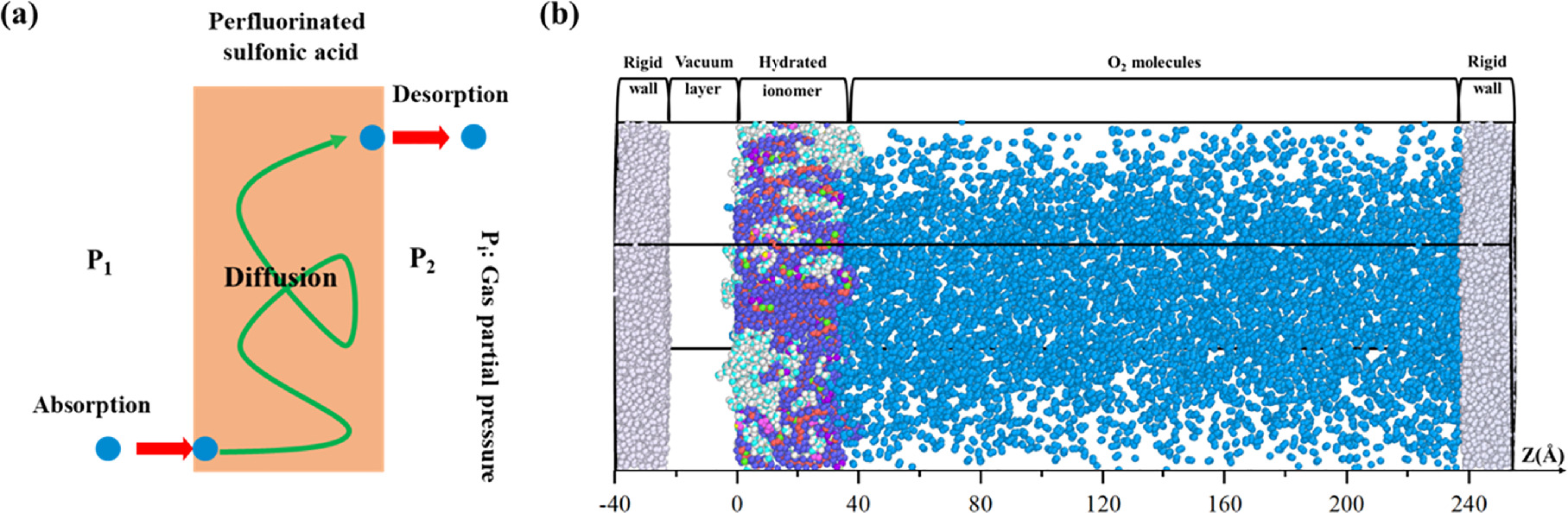 Proton Transport, Electroosmotic Drag and Oxygen Permeation in Polytetrafluoroethylene ...