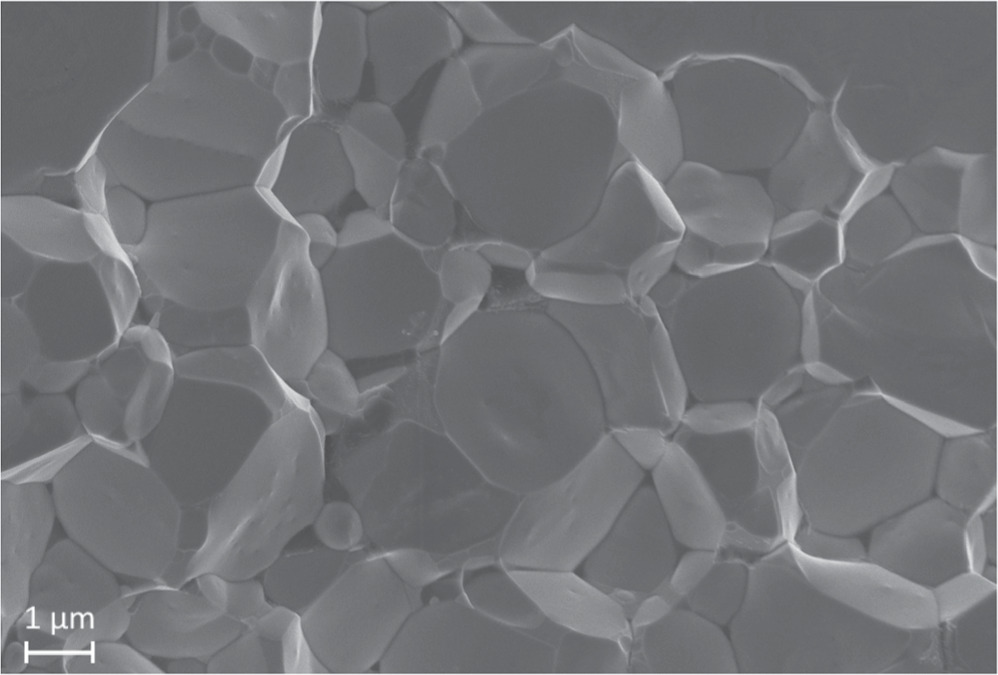 A Conservative and Efficient Model for Grain Boundaries of Solid ...