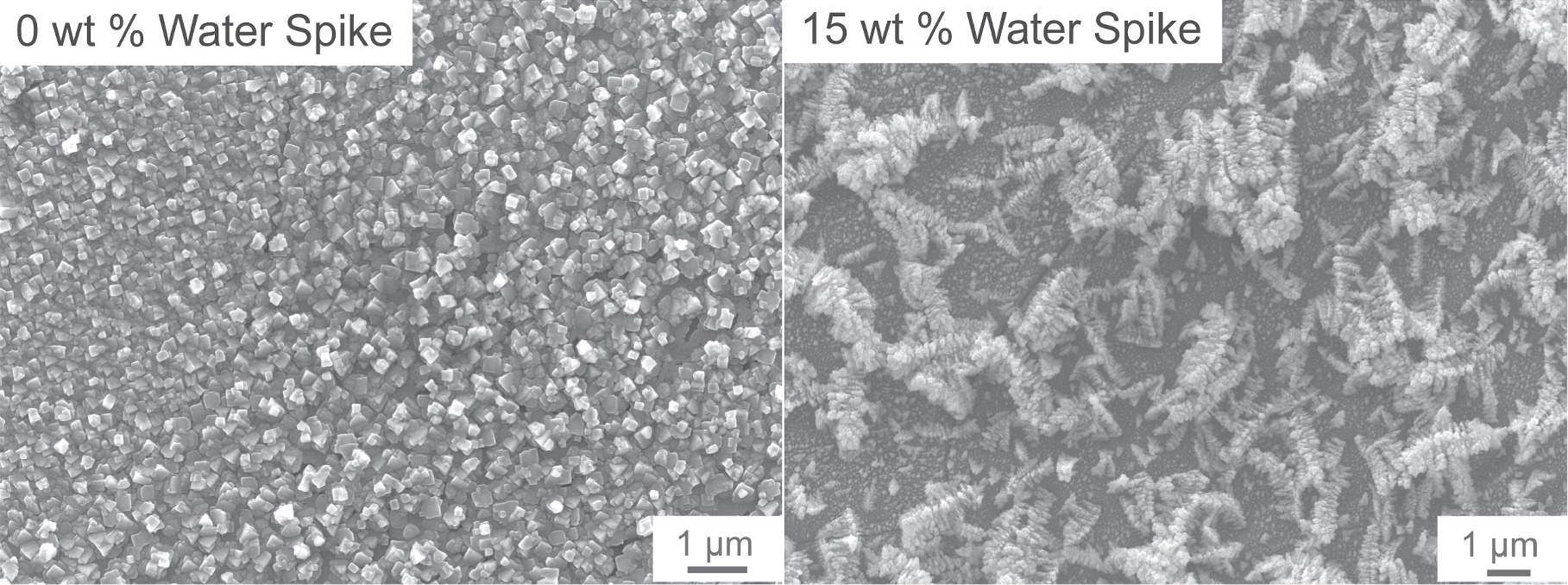 Electrodeposition of Tin and Antimony-Based Anode Materials for Sodium ...