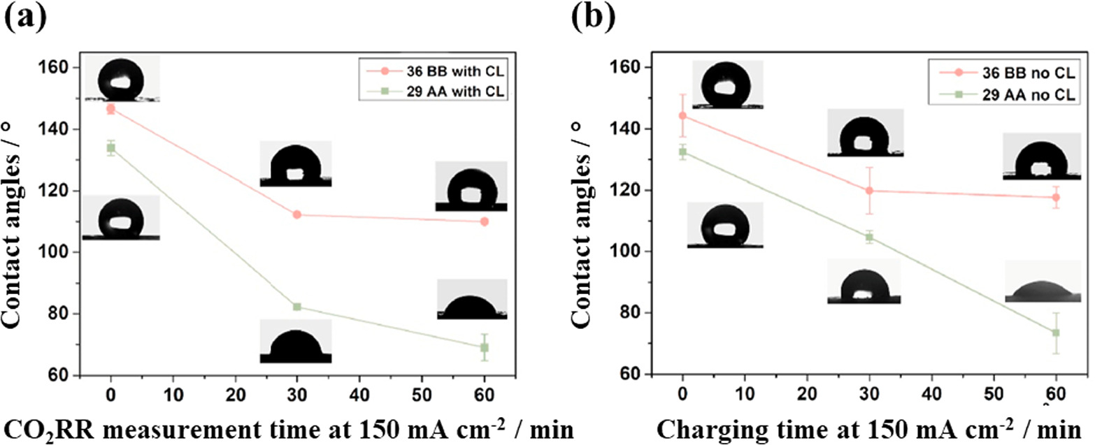 Gas Diffusion Electrodes (GDEs) for Carbon Dioxide (CO2) Reduction in ...
