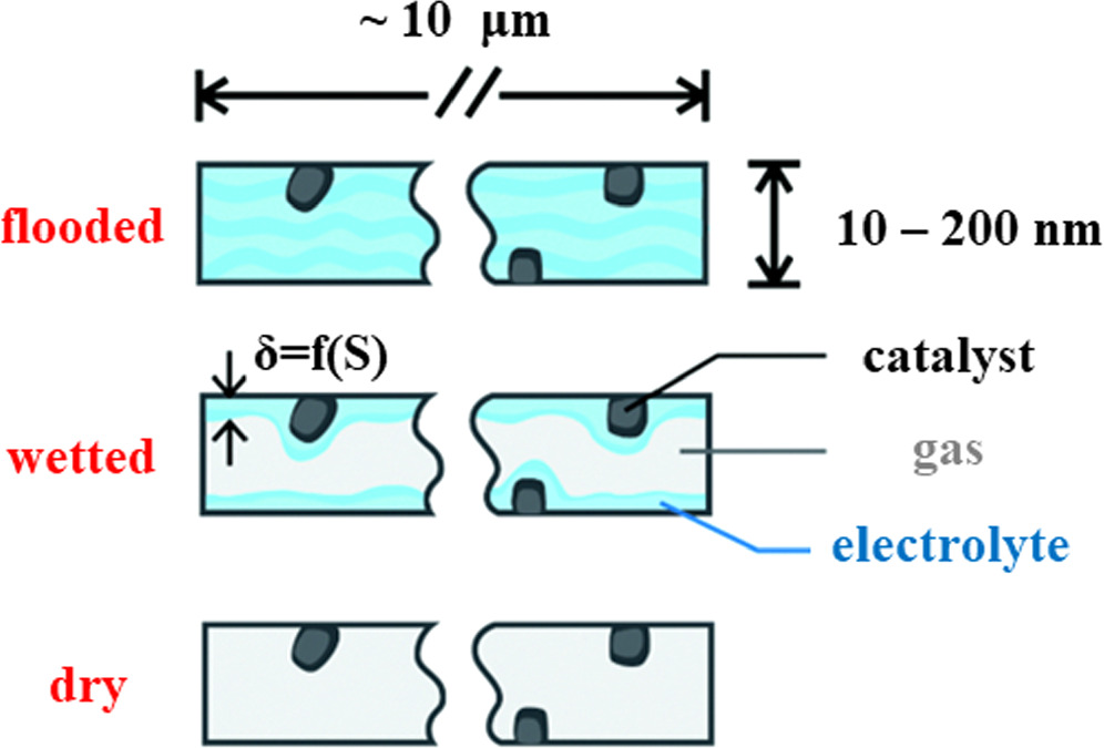 Gas Diffusion Electrodes (GDEs) for Carbon Dioxide (CO2) Reduction in ...