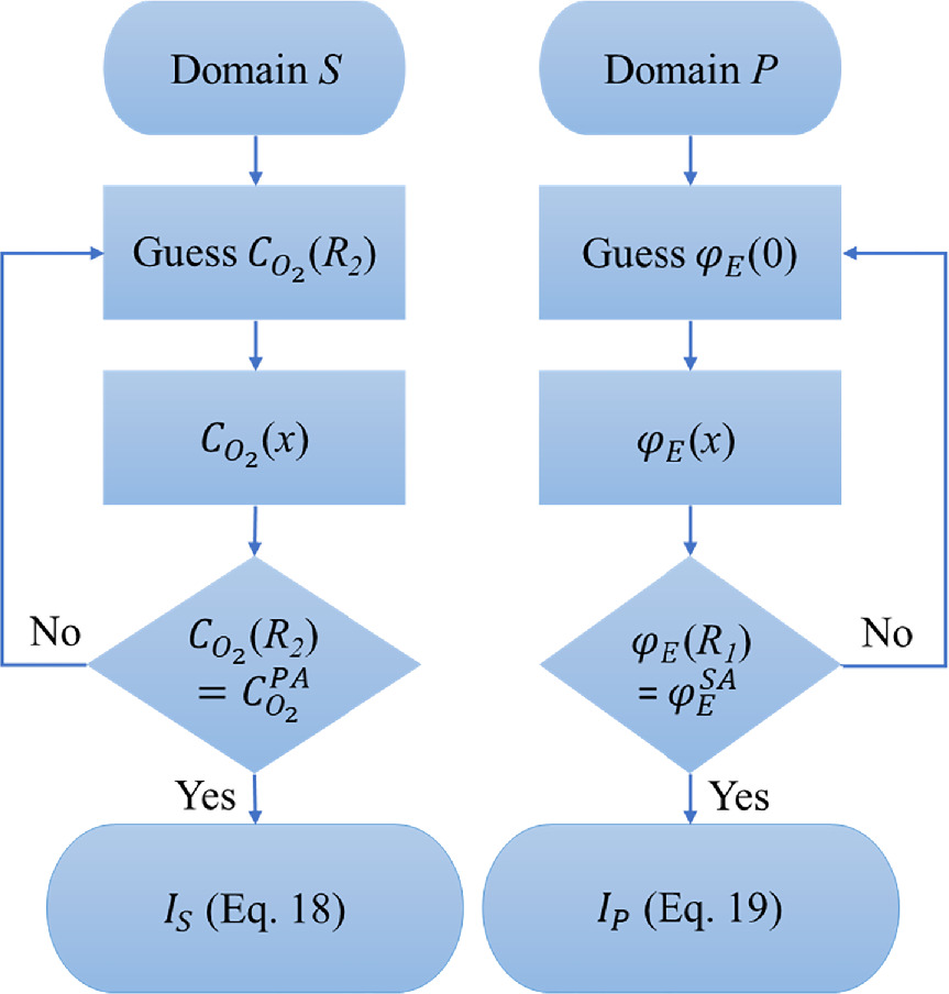 Influence of the Complex Interface between Transport and Catalyst Layer ...