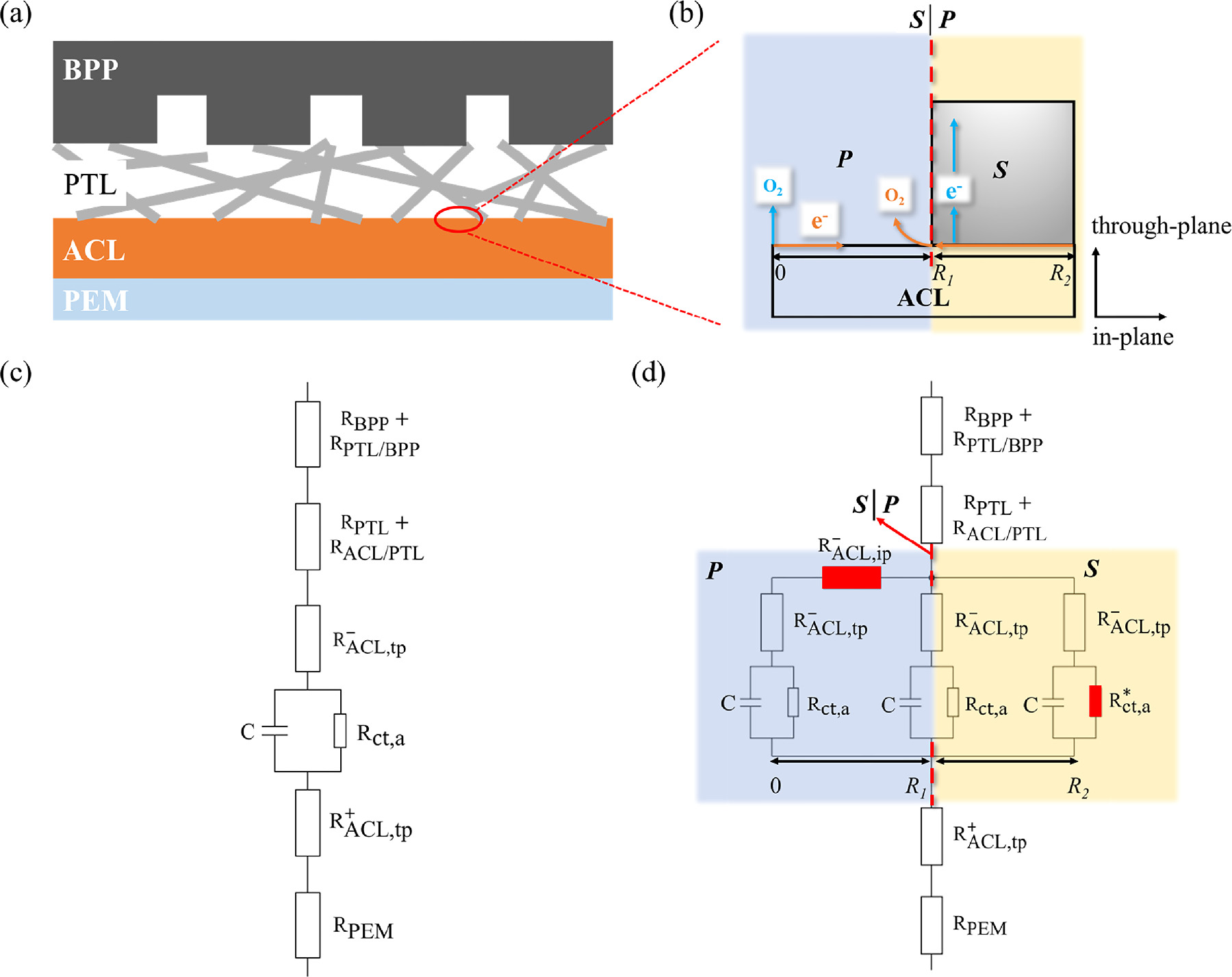 Influence of the Complex Interface between Transport and Catalyst Layer ...