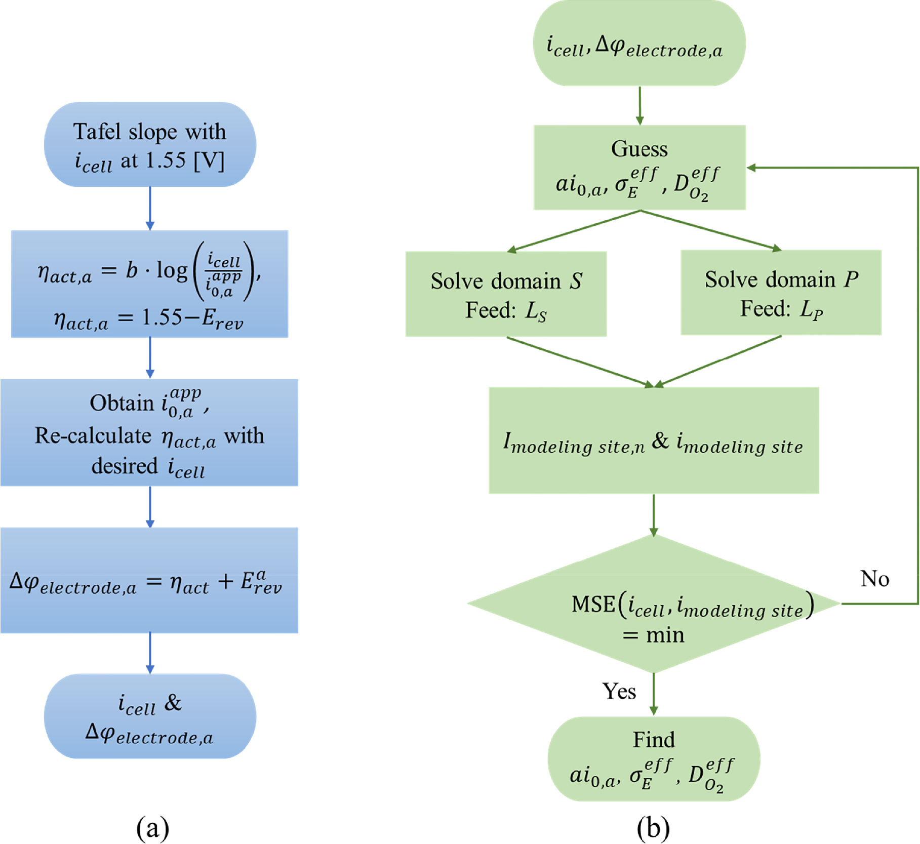 Influence of the Complex Interface between Transport and Catalyst Layer ...
