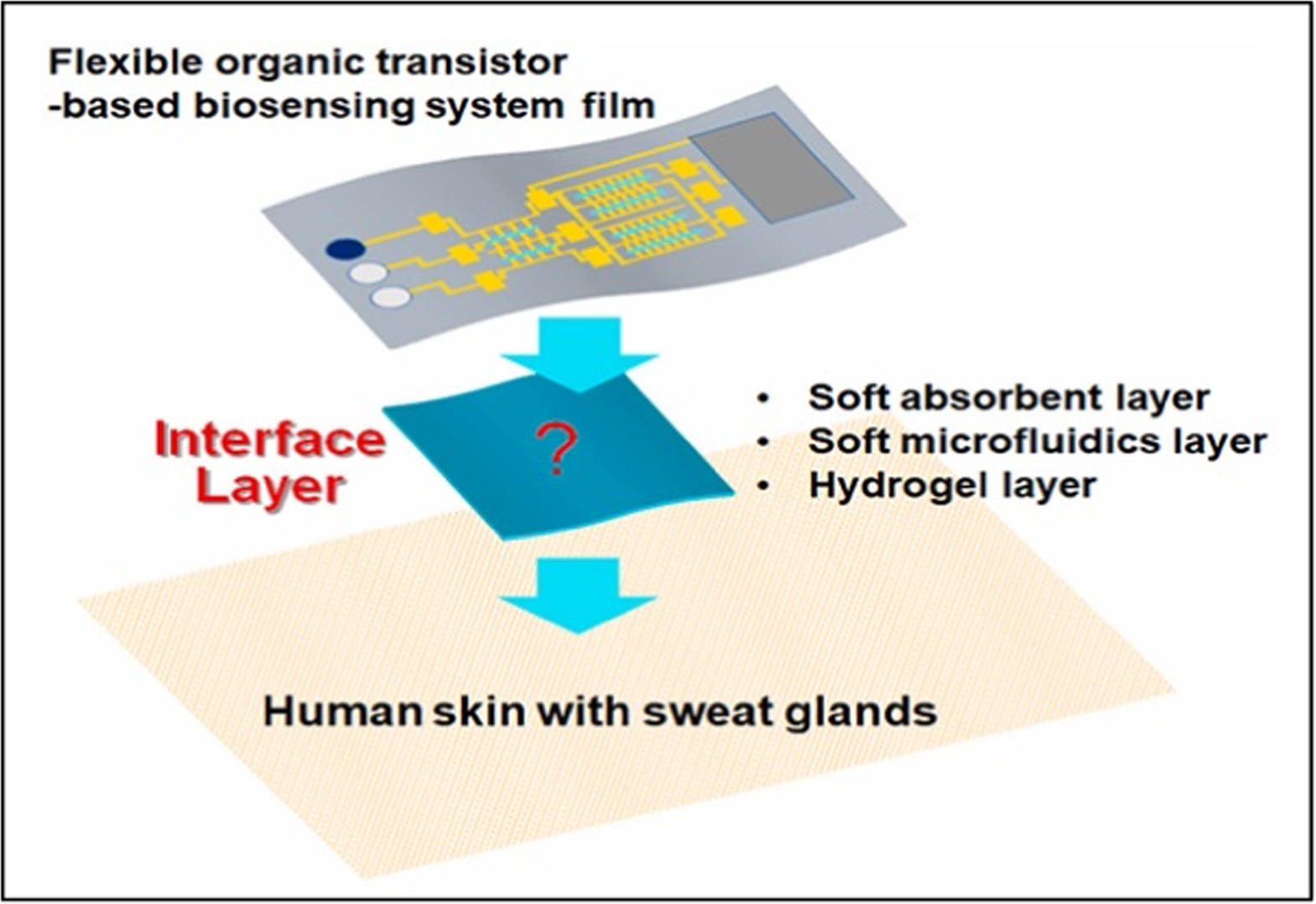 Review—Recent Progress, Challenges, and Trends in Polymer-Based ...