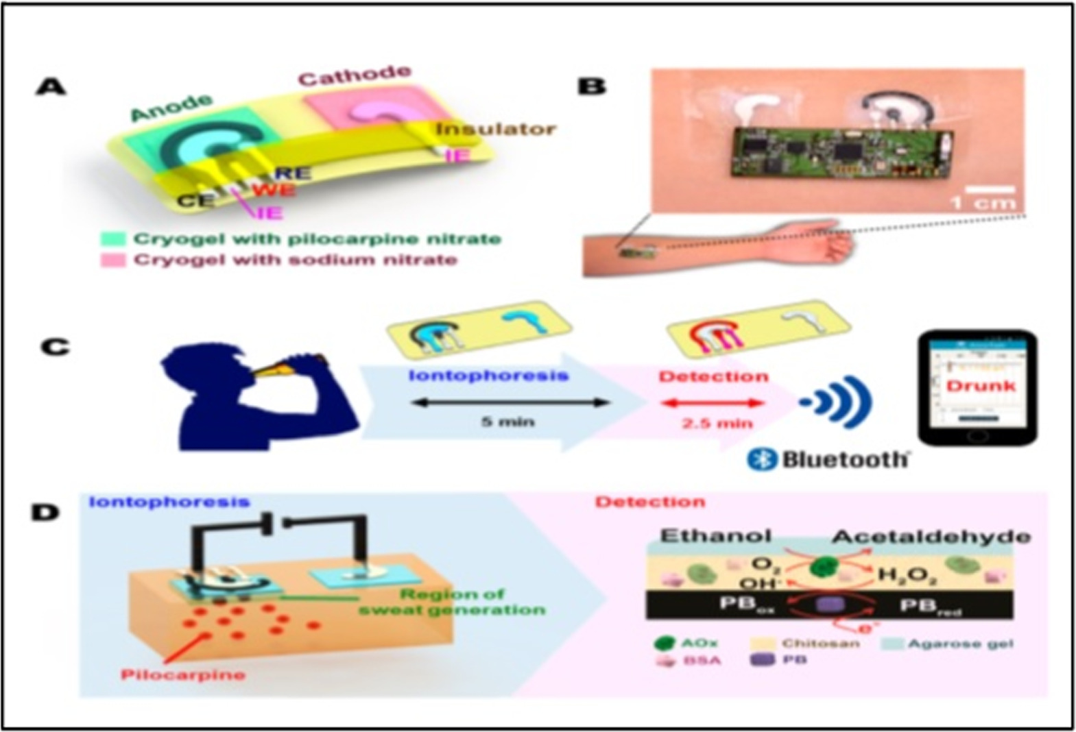 Review—Recent Progress, Challenges, and Trends in Polymer-Based ...