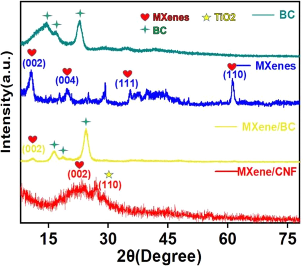 A Novel Electrochemical Sensor for Chloramphenicol Based on MXenes and Carbon Nanofiber from ...