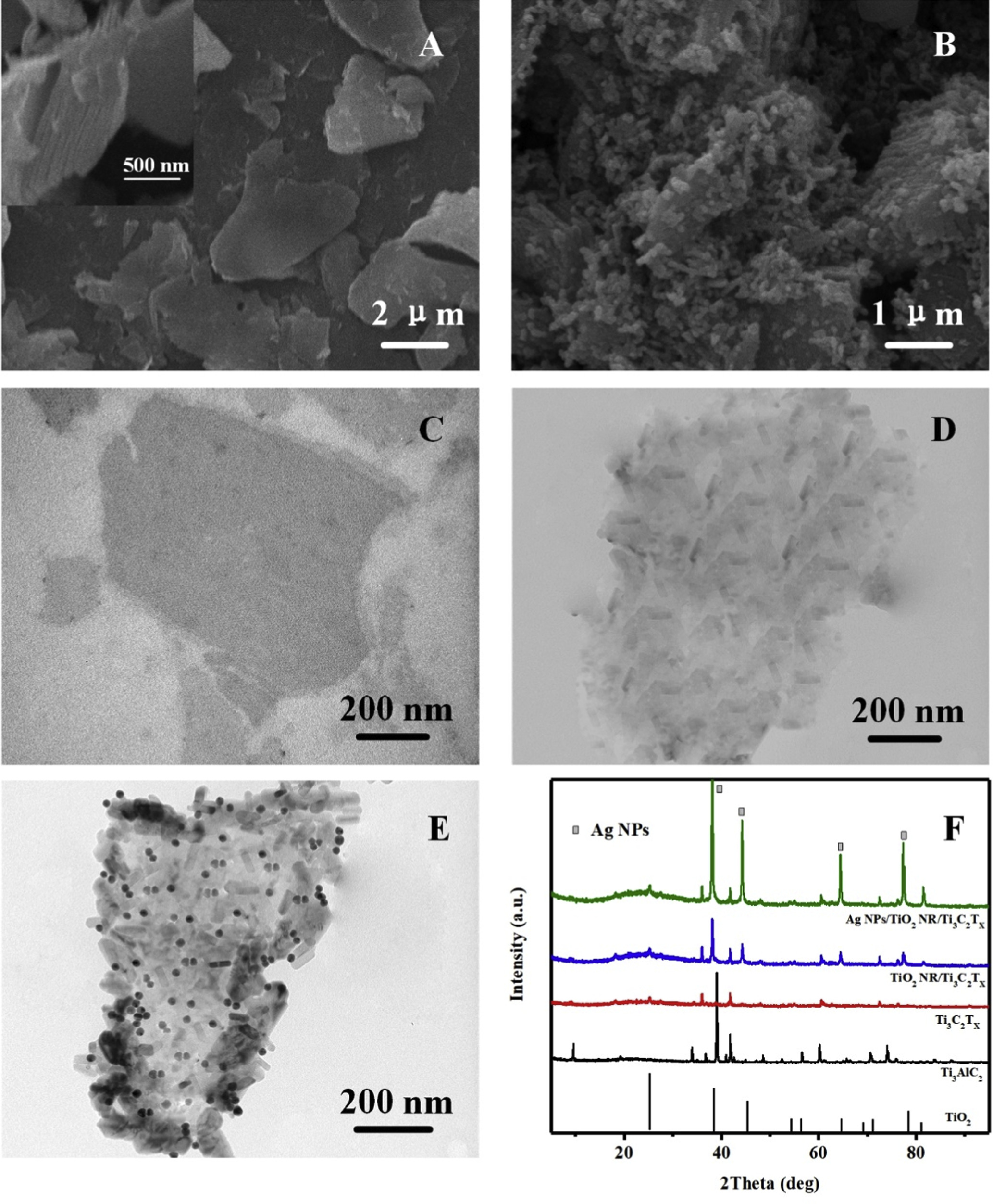 A Three-Dimensional AgNPs/TiO2/Ti3C2Tx Composite for Label-Free ...