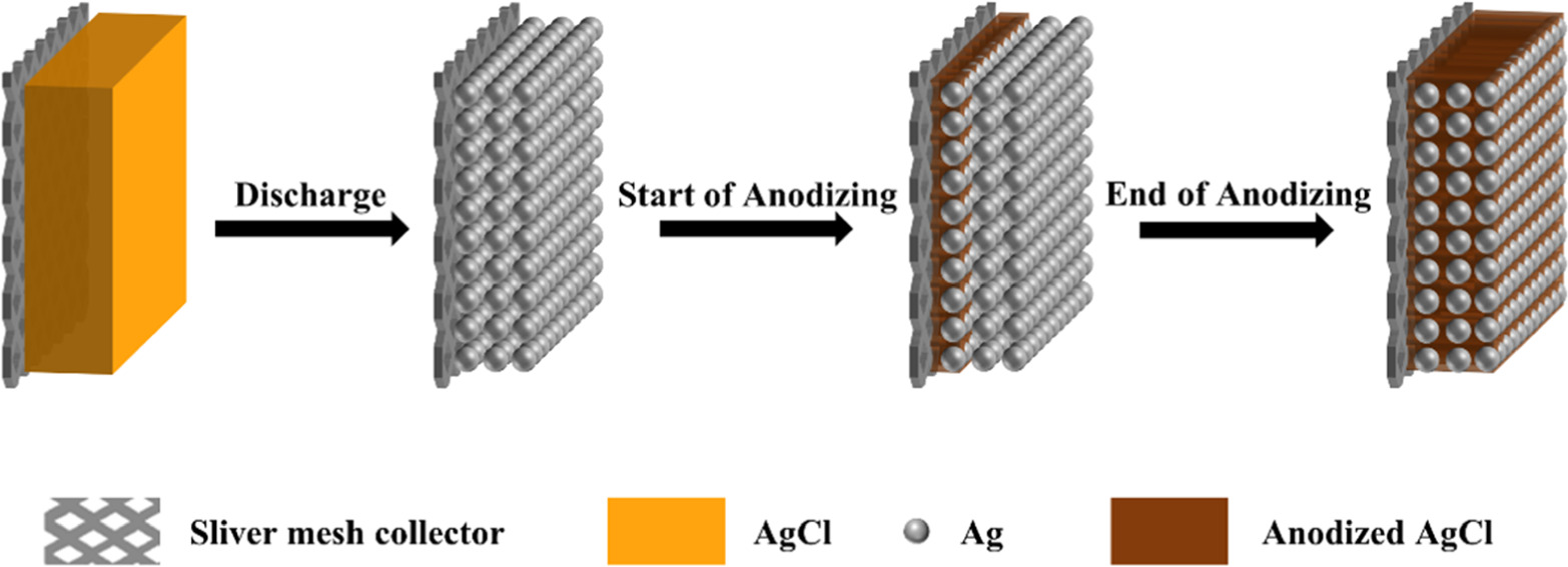 Electrochemical Synthesis and Performance of AgCl/Ag/Sliver Mesh ...