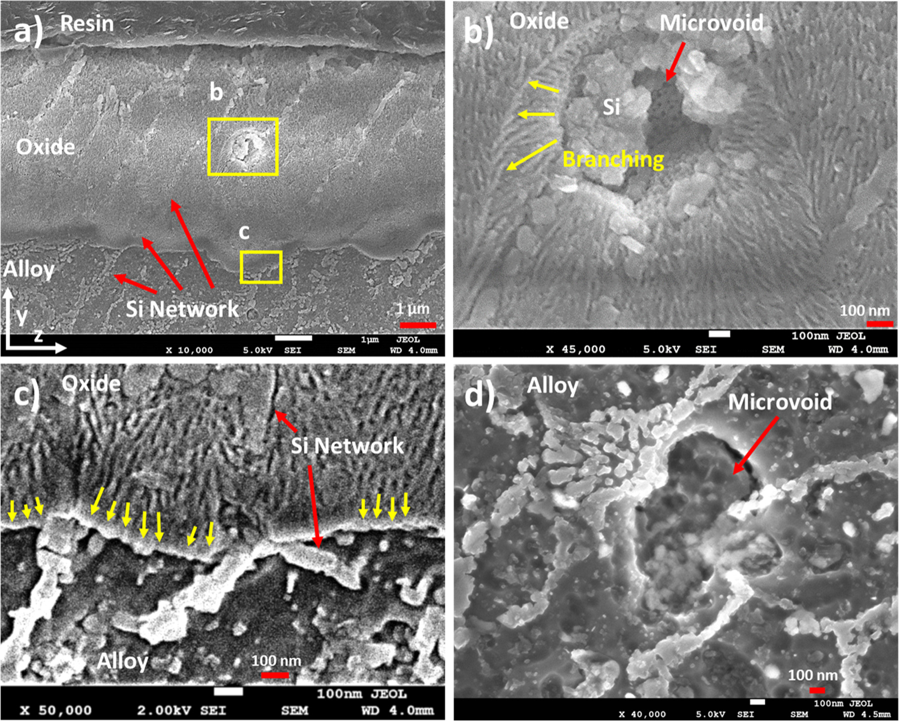 The Effect of Sulfuric Acid Anodization on the Electrochemical ...