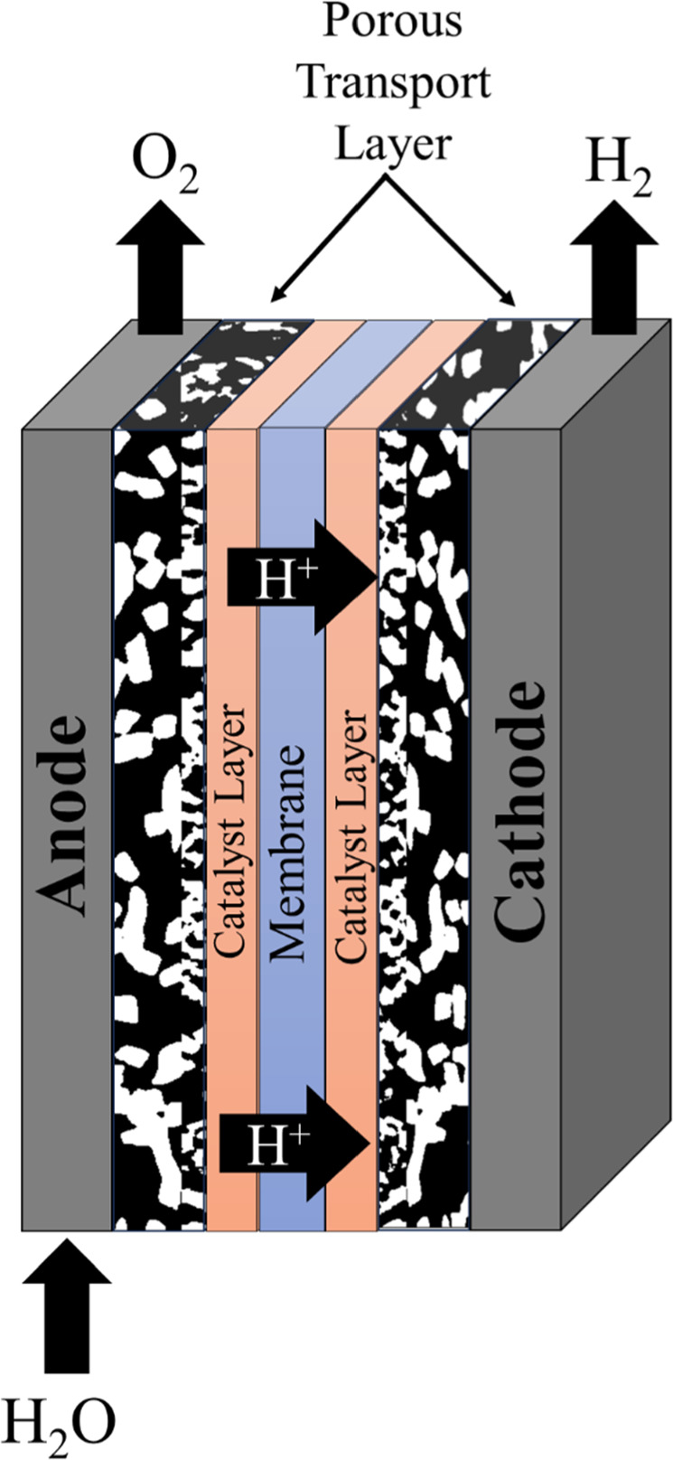 Multiscale Modeling of Oxygen Evolution Through Generated Bilayer ...