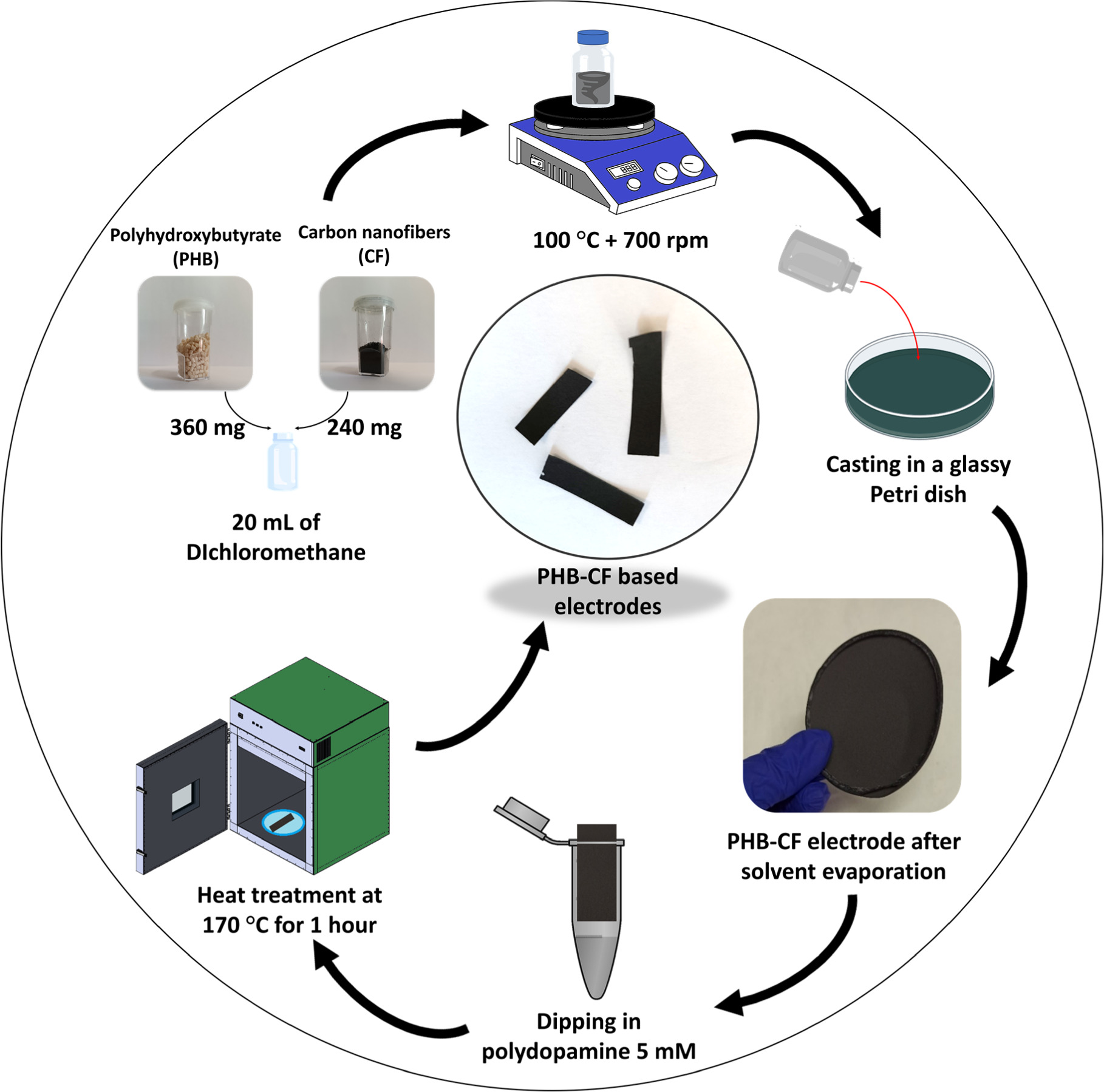 Bacterial-Polyhydroxybutyrate for Biocompatible Microbial Electrodes ...