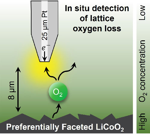 In Situ Investigation of Lattice Oxygen Loss from Preferentially ...