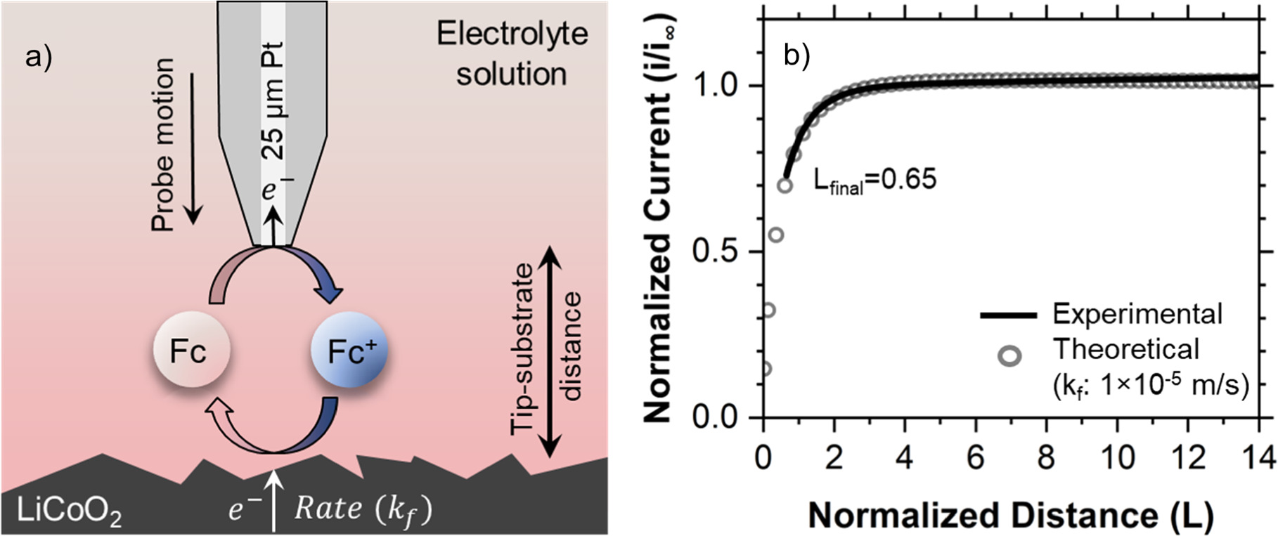 In Situ Investigation of Lattice Oxygen Loss from Preferentially ...
