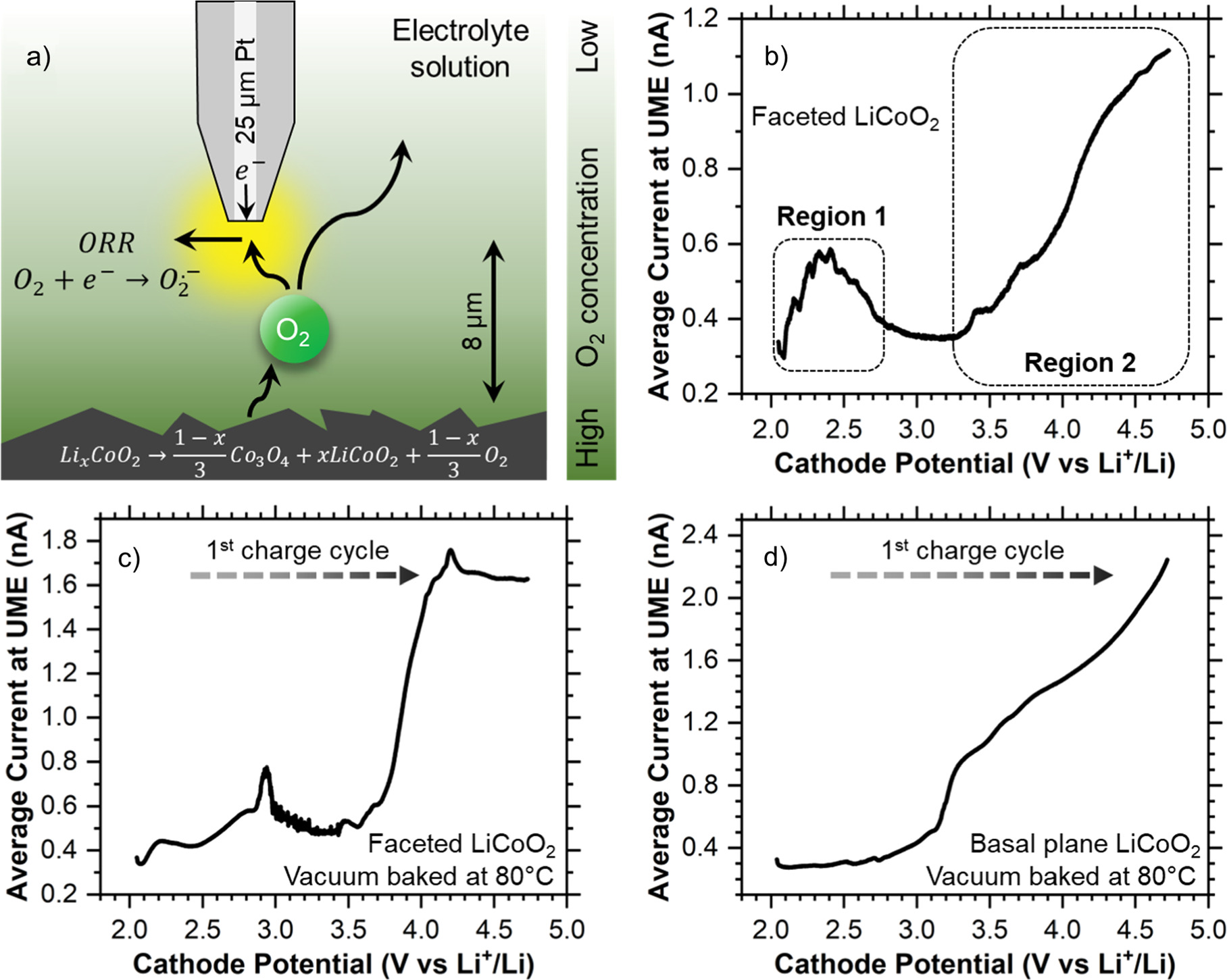 In Situ Investigation of Lattice Oxygen Loss from Preferentially ...