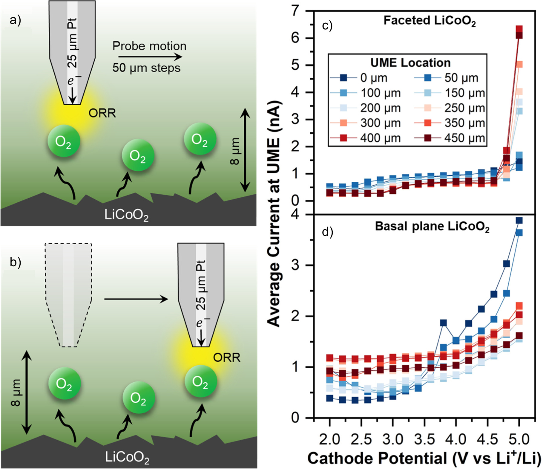 In Situ Investigation of Lattice Oxygen Loss from Preferentially ...