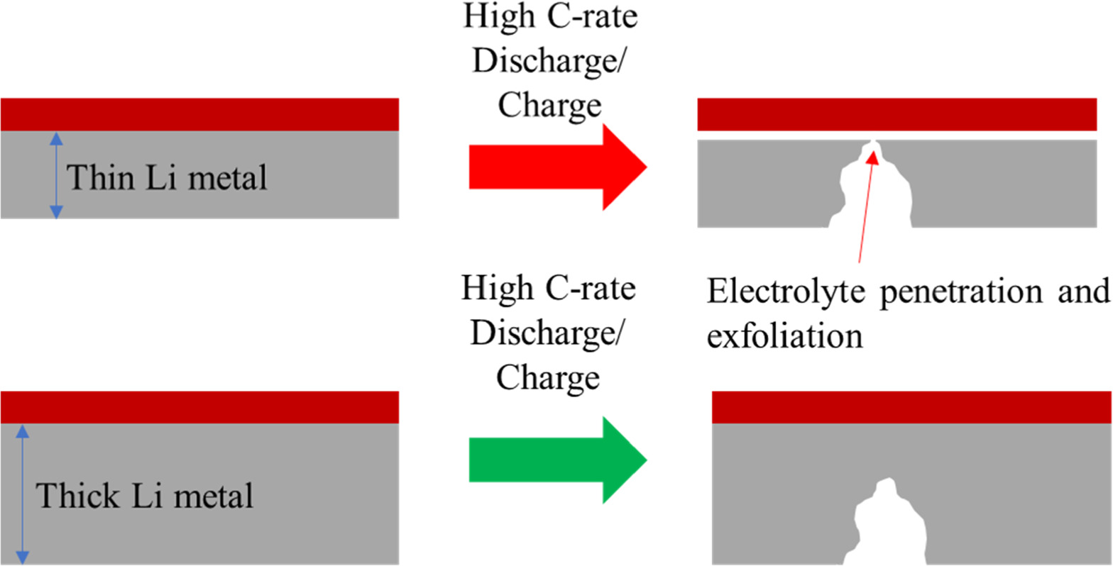 Review—Challenges and Opportunities in Lithium Metal Battery Technology ...