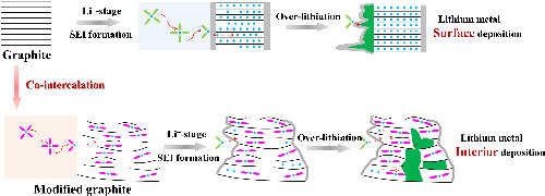 Dendrite/Volume Expansion-Free Lithium Deposition Inside the Enclosed ...