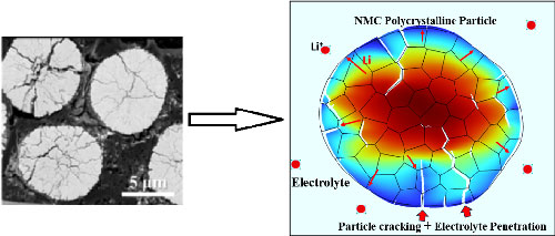 Impact of Mechanical Degradation in Polycrystalline NMC Particle on the ...