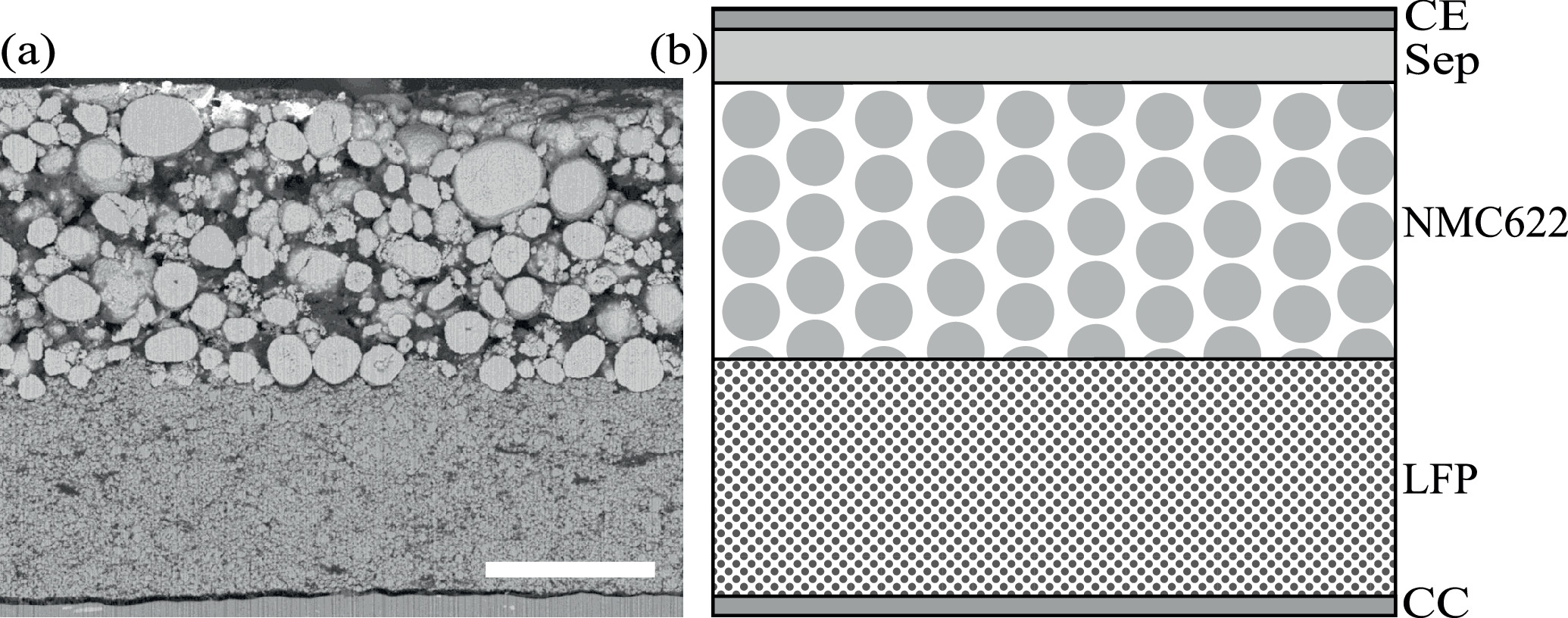 A Multilayer Doyle-Fuller-Newman Model to Optimise the Rate Performance ...