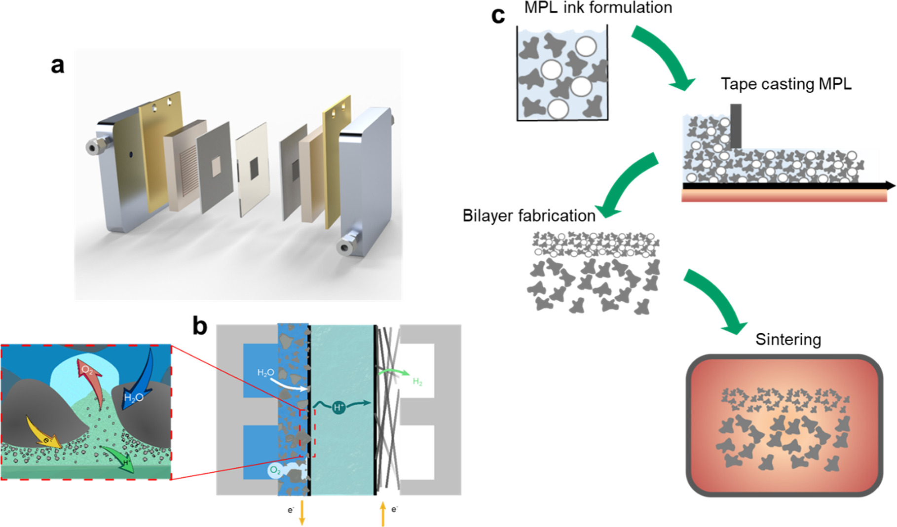 Pioneering Microporous Layers for Proton-Exchange-Membrane Water Electrolyzers via Tape Casting ...