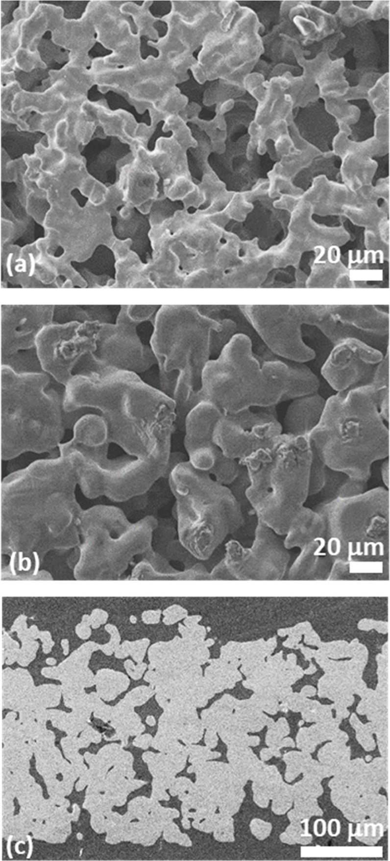Pioneering Microporous Layers for Proton-Exchange-Membrane Water ...