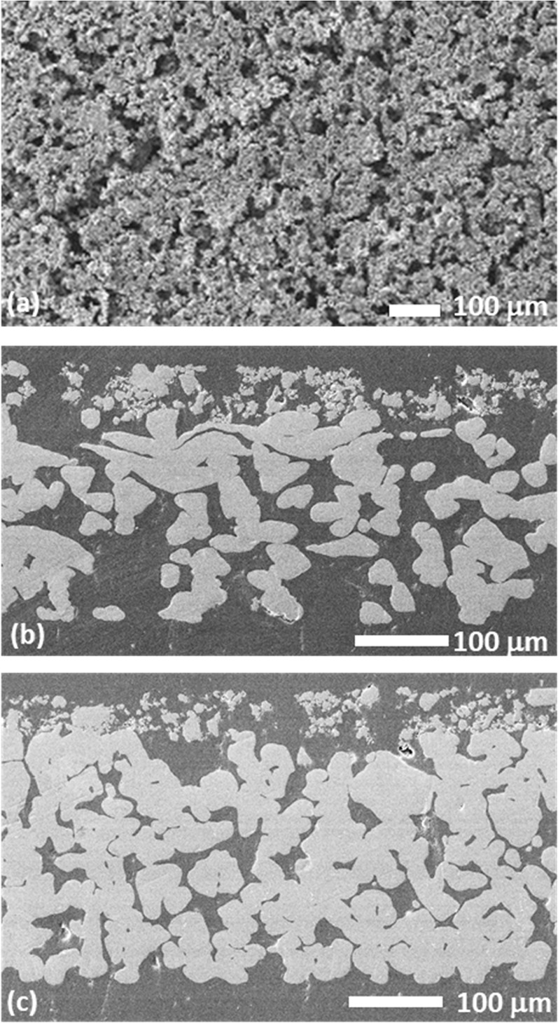 Pioneering Microporous Layers for Proton-Exchange-Membrane Water ...