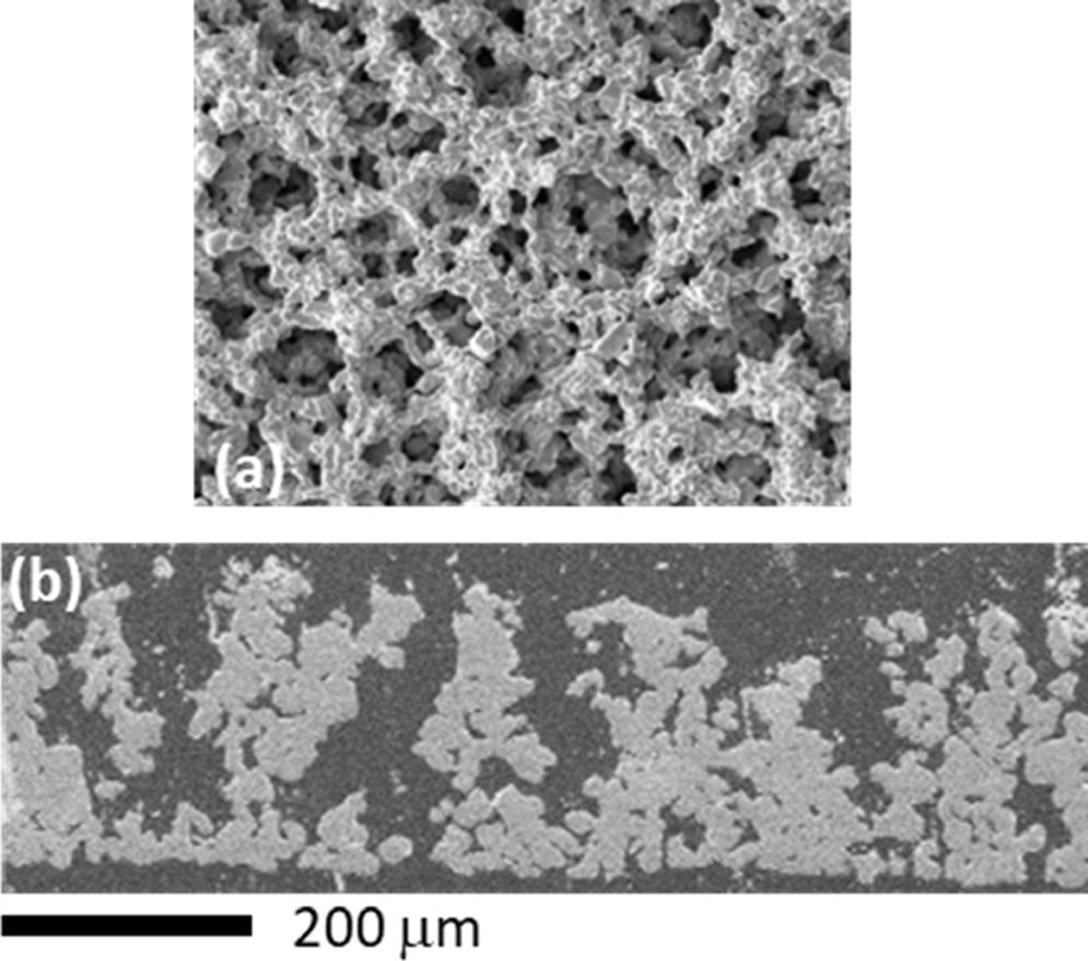 Pioneering Microporous Layers for Proton-Exchange-Membrane Water Electrolyzers via Tape Casting ...