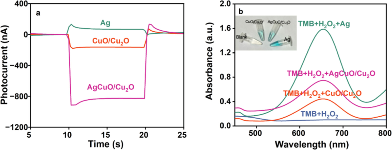 Agcuo Cu2o Nanozyme Based Colorimetric And Photoelectrochemical Dual Models Strategy For Sensing