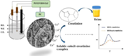 Non-Enzymatic Electrochemical Detection of Urine Creatinine Using ...