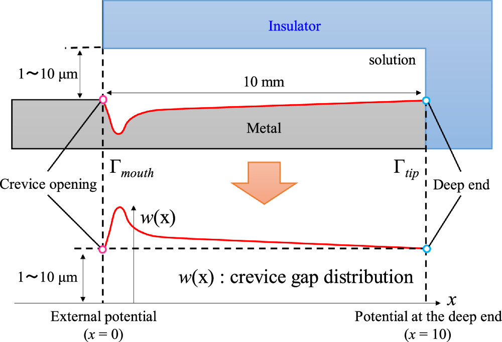 Numerical Analysis of Stainless Steel of Crevice Corrosion Initiation ...