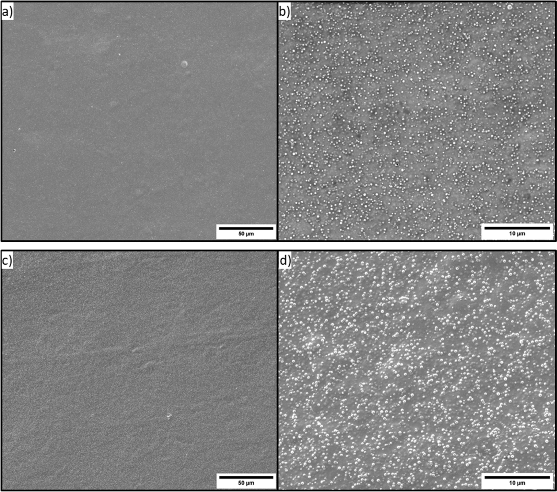 Electrophoretic Deposition and Characterization of Curcumin/Chitosan ...