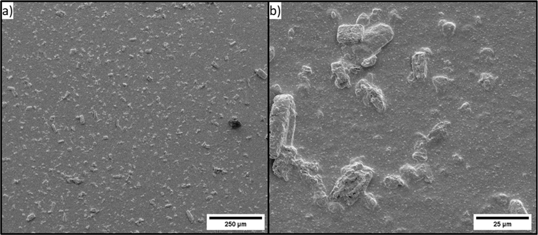 Electrophoretic Deposition and Characterization of Curcumin/Chitosan ...